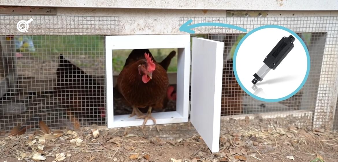 DIY Automatic Chicken Coop Door by April Wilkerson – Progressive ...