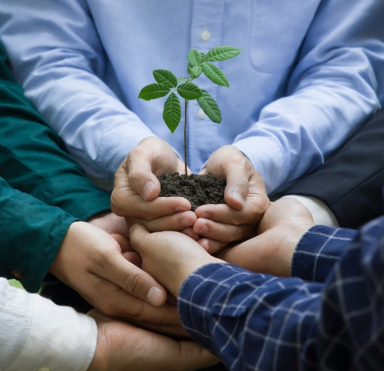 Linear Actuators Progressive Automations™ 12 Volt Electric Linear Actuators Canada